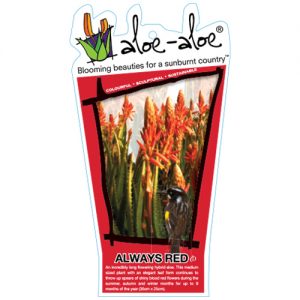 Always Red PBR - Aloe Aloe